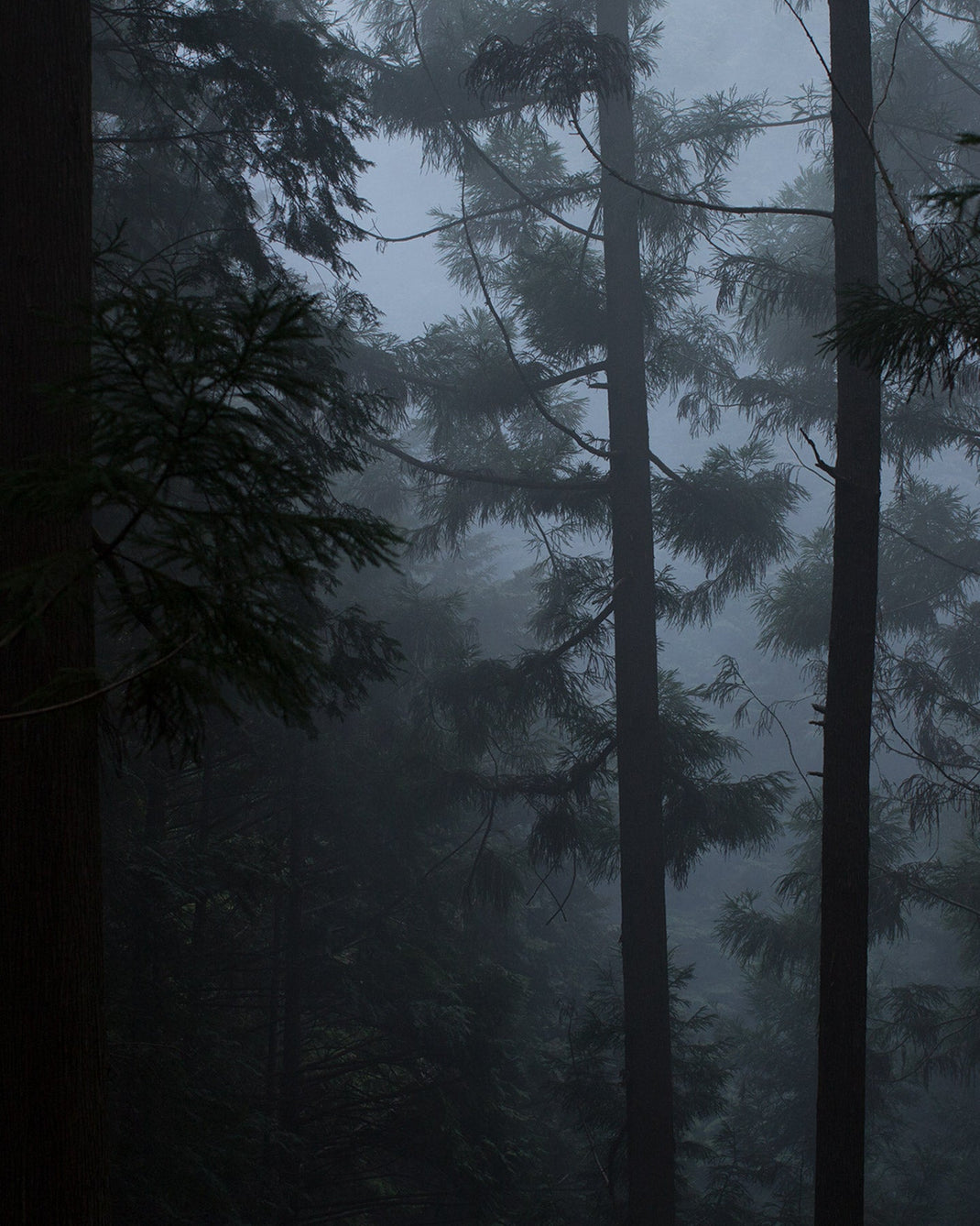 Aesop Hwyl Eau de Parfum – Aesop Thailand